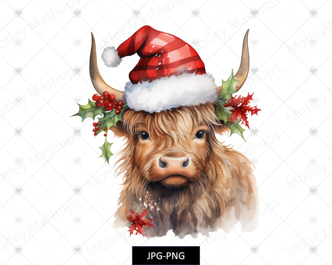 Christmas Baby Highland Cow PNG Winter Watercolor, Scottish Cow Graphic ...