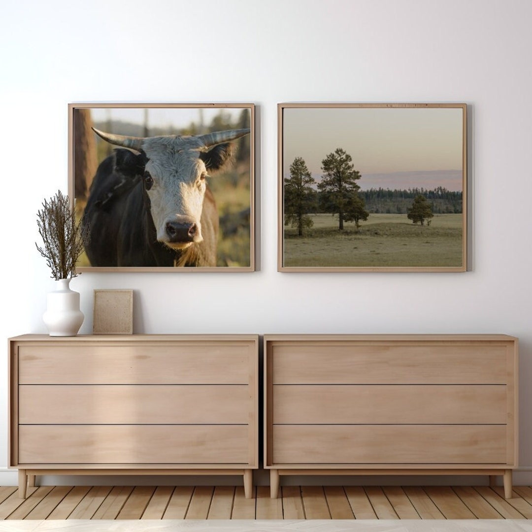 The Woods Art Bundle, DIGITAL DOWNLOAD Nature Photography, Western ...