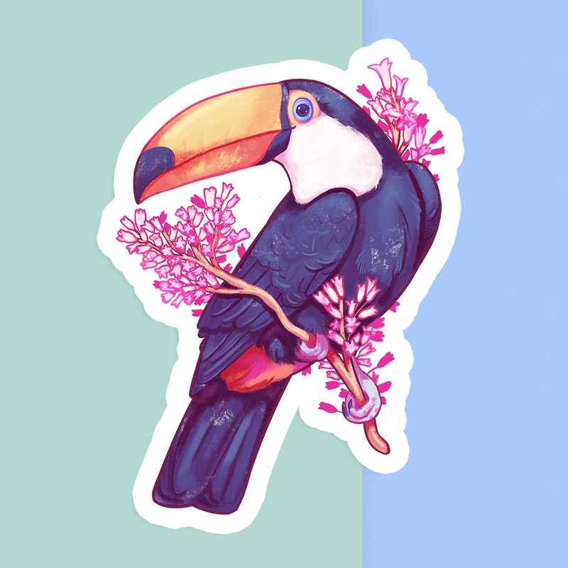 Toucan Stickers - Etsy UK