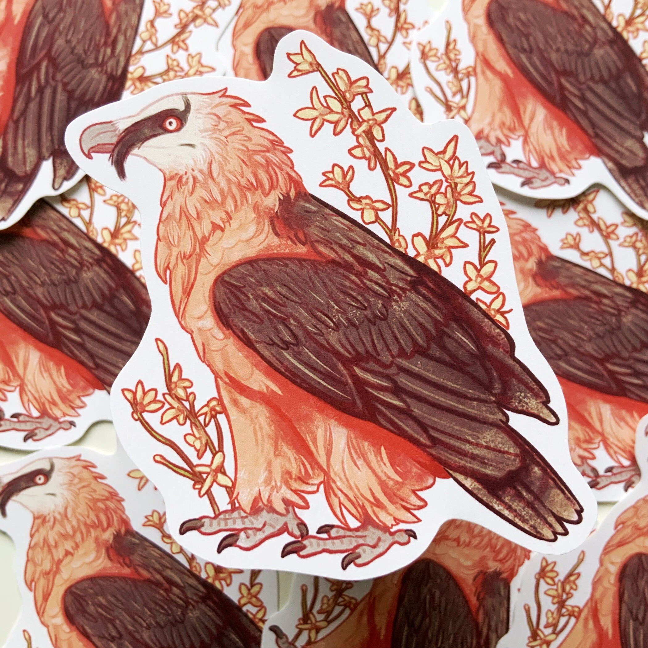 Handcut Vinyl Sticker Bearded Vulture Matte White - Etsy