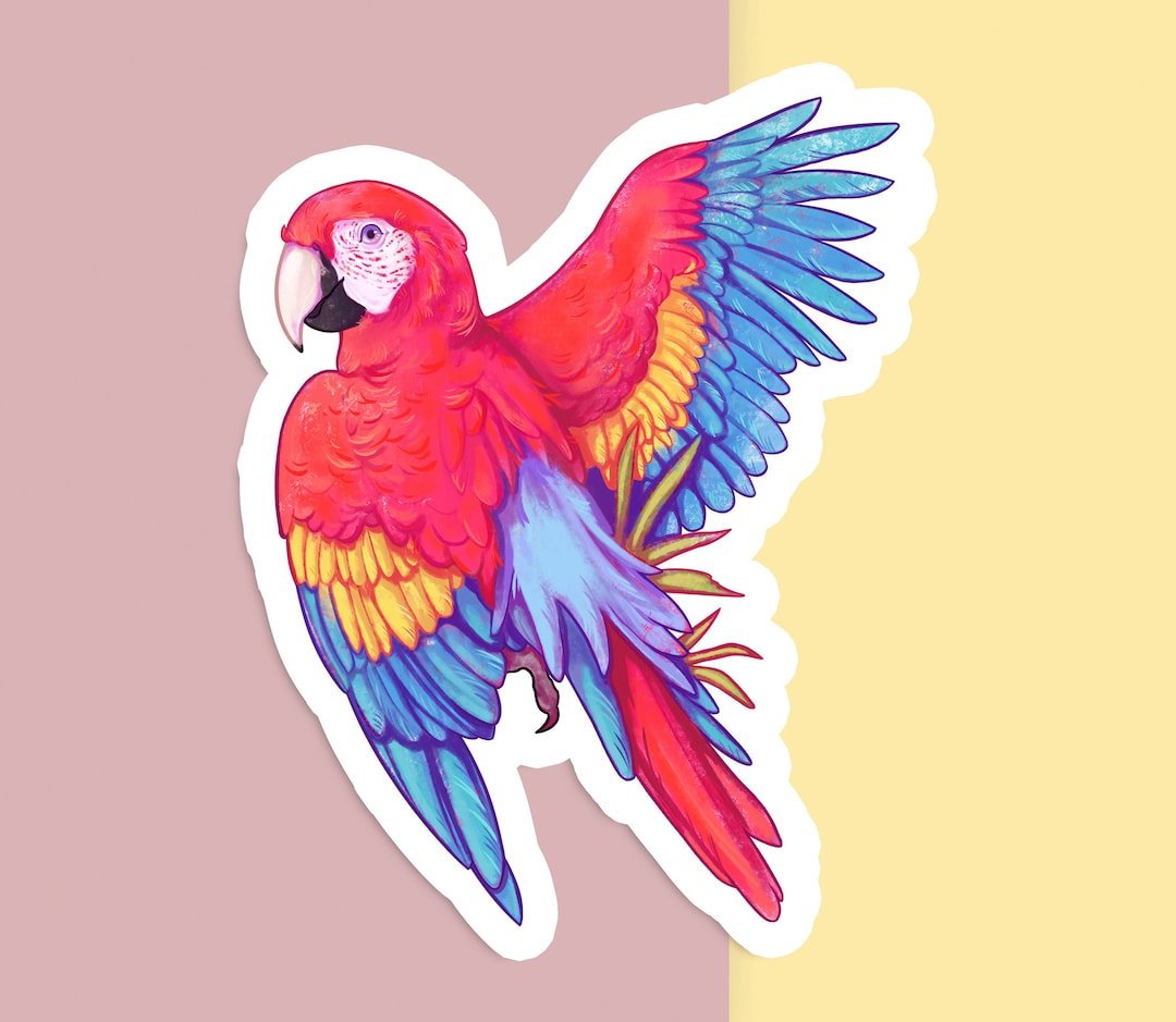 Handcut Scarlet Macaw Sticker: Matte White Parrot Decal - Etsy