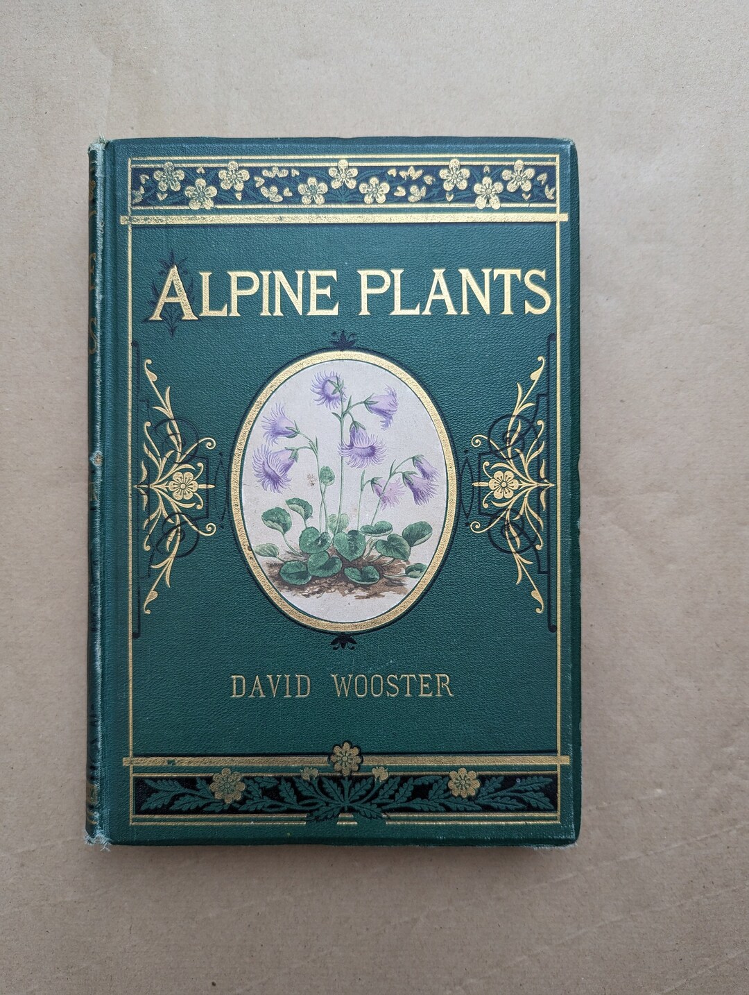 Alpine Plants by David Wooster, Vintage Book, Nature, Natural History ...
