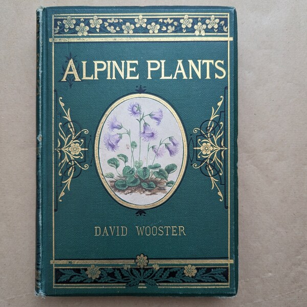Alpine Plants - Etsy
