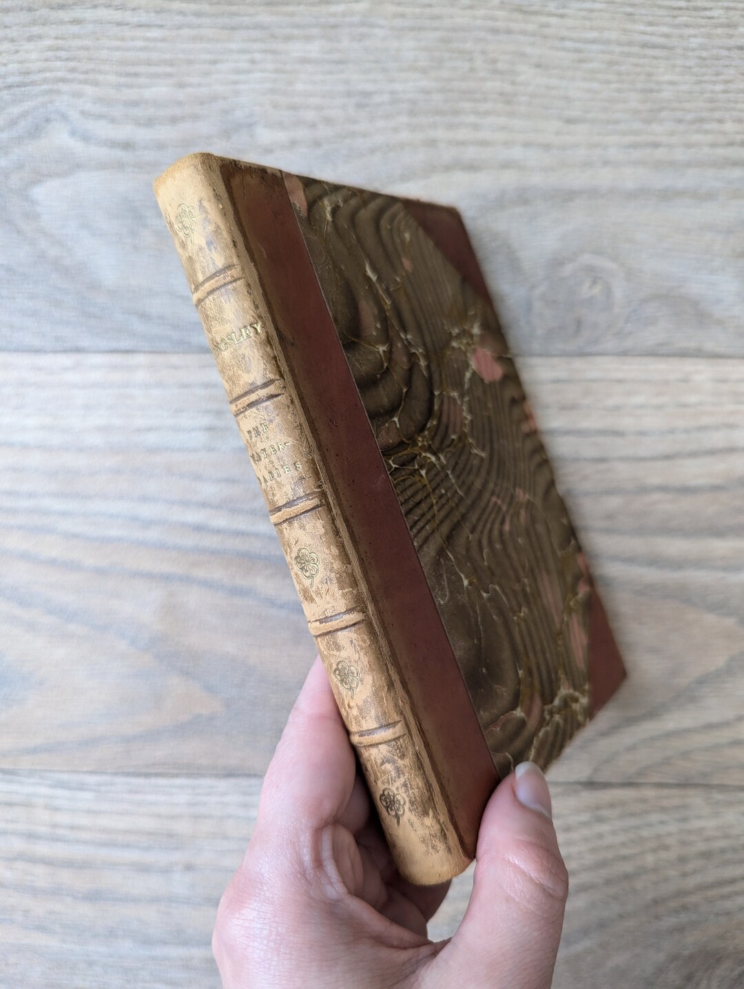 Water Babies Pocket Edition Fine Binding Vintage Book, Victorian ...