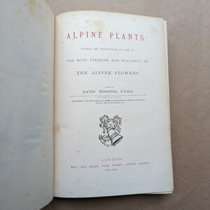 Alpine Plants by David Wooster, Vintage Book, Nature, Natural History ...