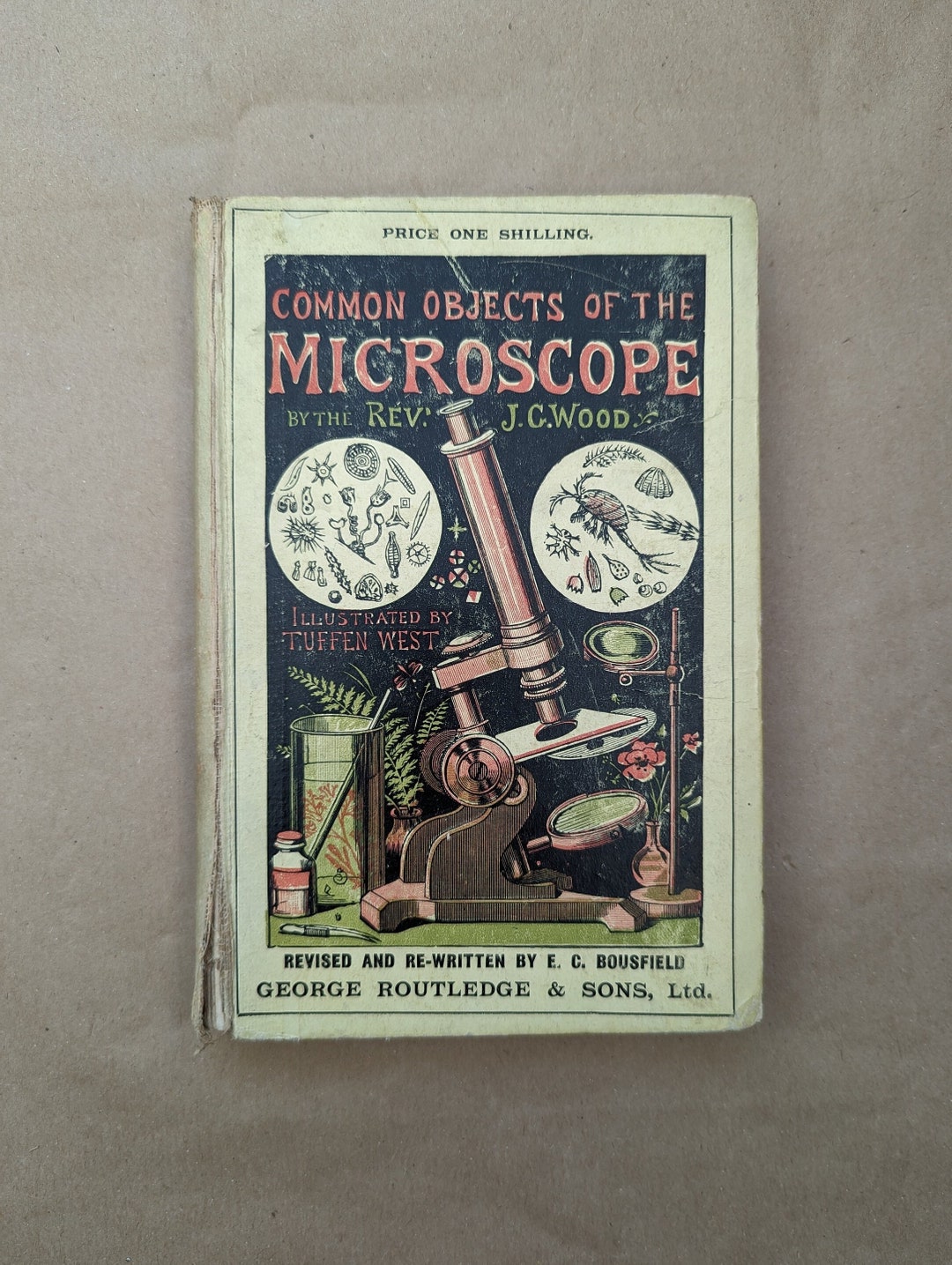 Common Objects of the Microscope by Rev Wood, Vintage Book, Victorian ...