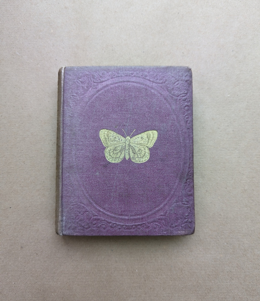 History of Insects Vintage Book, Victorian, Nature, Natural Historu ...