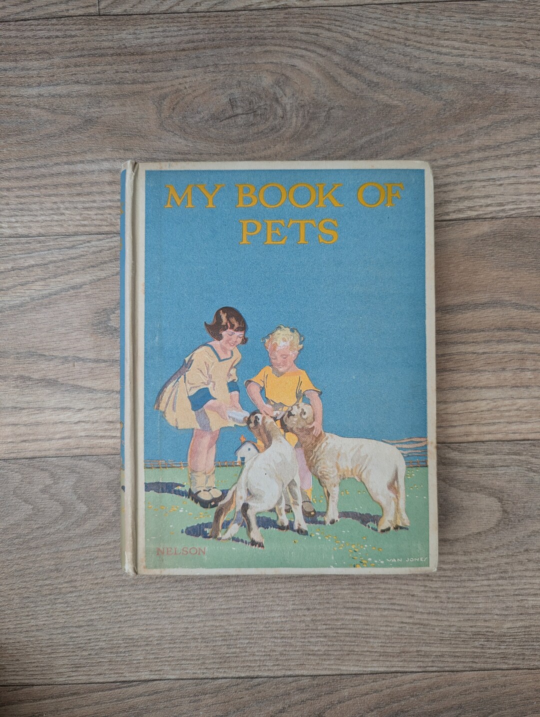 My Book of Pets Vintage Children's Book, Coloured Plates, Illustrated ...