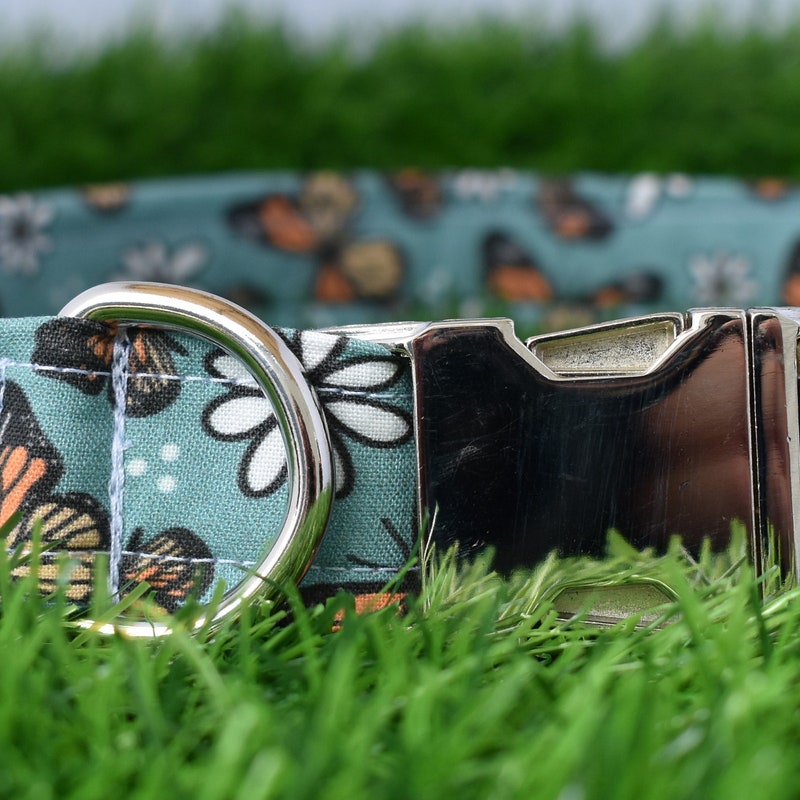Butterfly Collar - Etsy