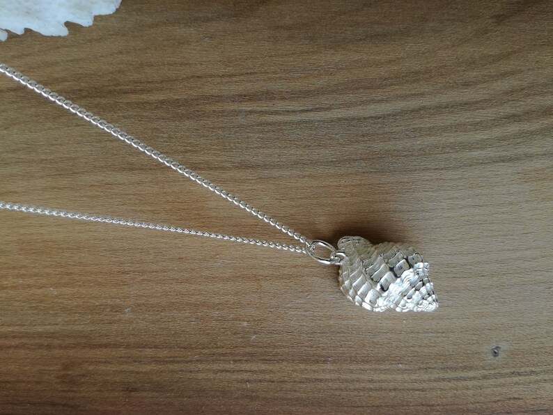 Silver Pendant Spicky Sea Snail Shell on Black Rubber or Chain - Etsy