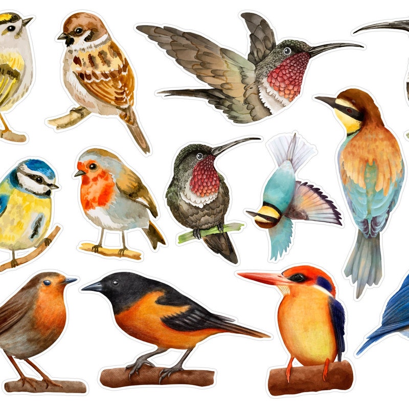 Artsy Bird Stickers - Etsy UK