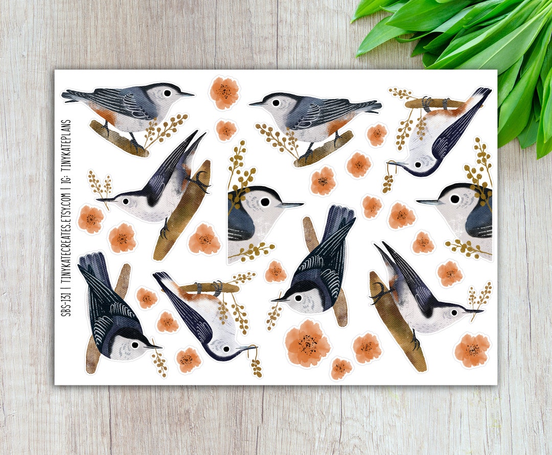 White-breasted Nuthatch Bird Planner Stickers, Silly Bird Planner ...