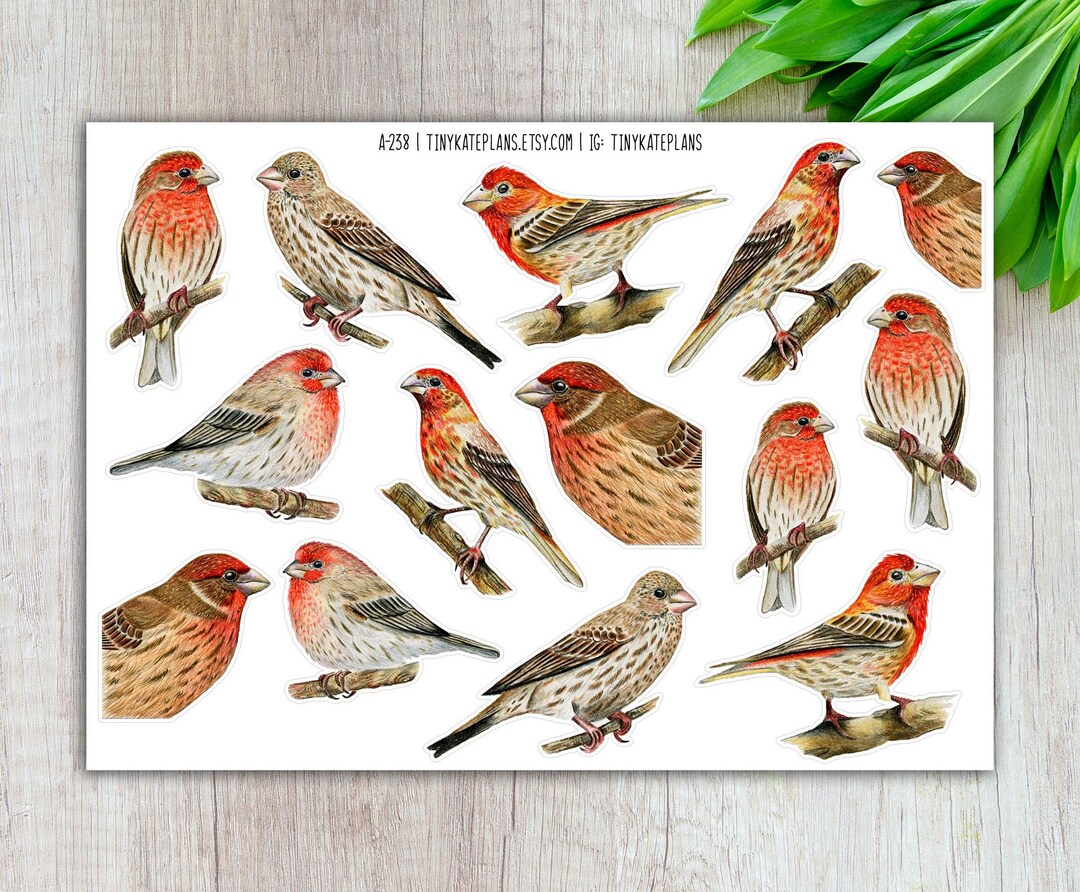House Finch Planner Stickers, Red Bird Planner Stickers, Backyard Bird ...