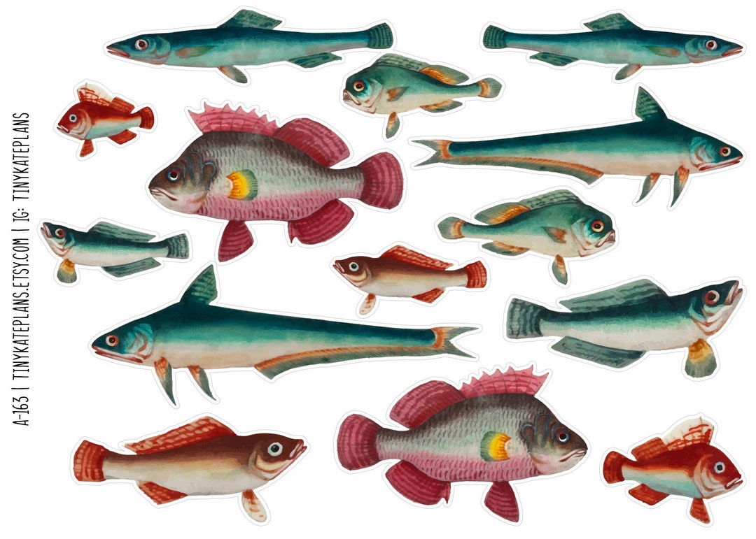 Watercolor Fish Planner Stickers, Cute Fish Stickers, Sea Animal ...