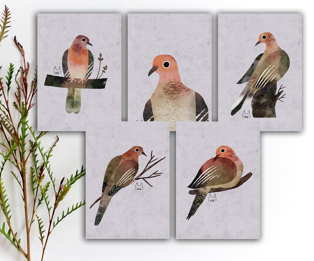 Watercolor Mourning Dove Postcard Set, Mourning Dove Stickers, Bird ...