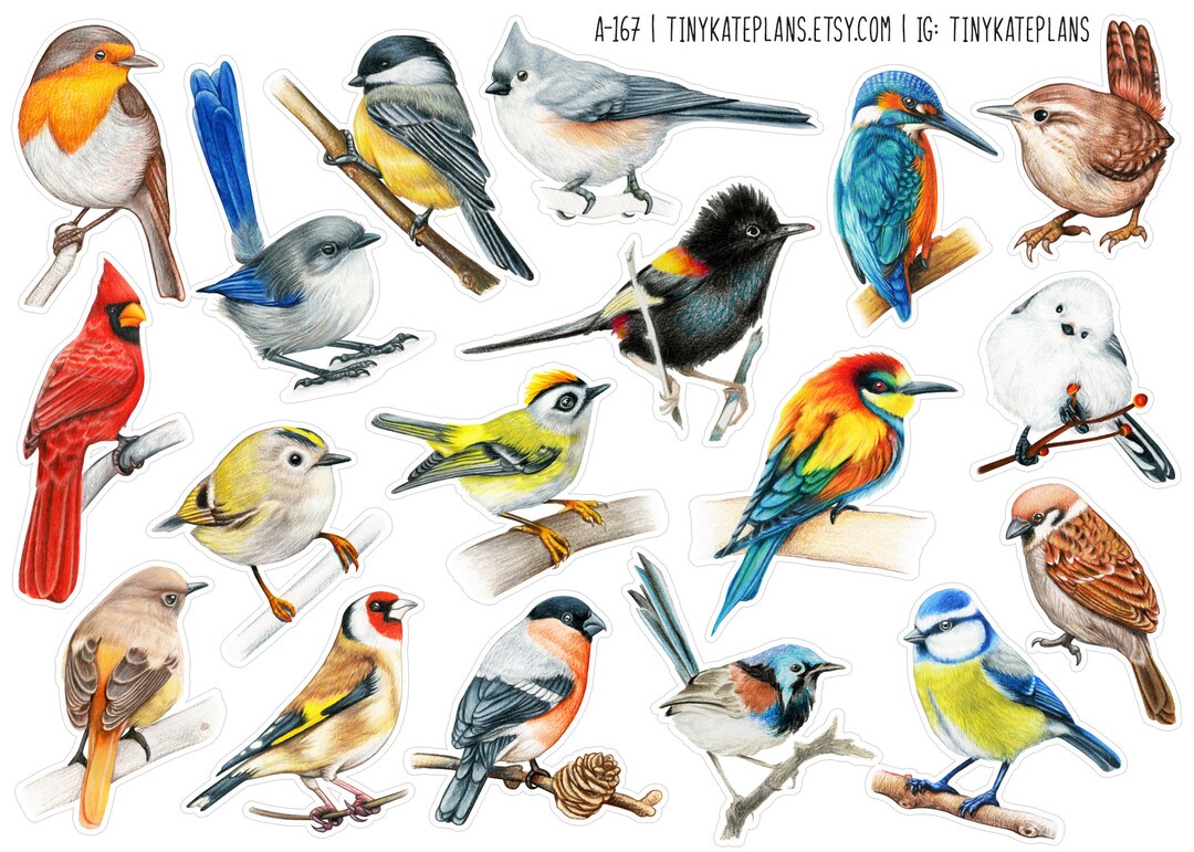 Colorful Mix of Different Birds Planner Stickers, Forest Animal Planner ...