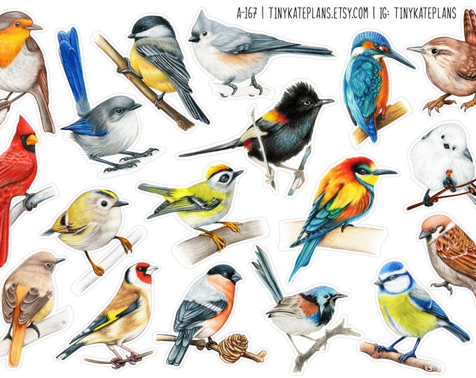 Vintage Bird Sticker SET 2 for Junk Journals Vintage Inspired | Etsy