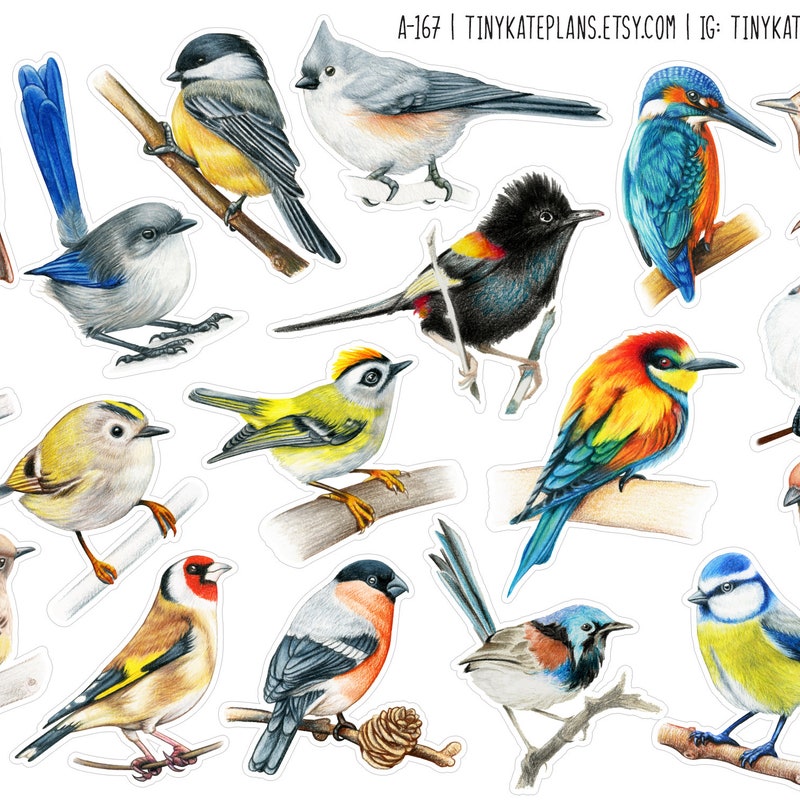 Colored Circle Sticker - Etsy