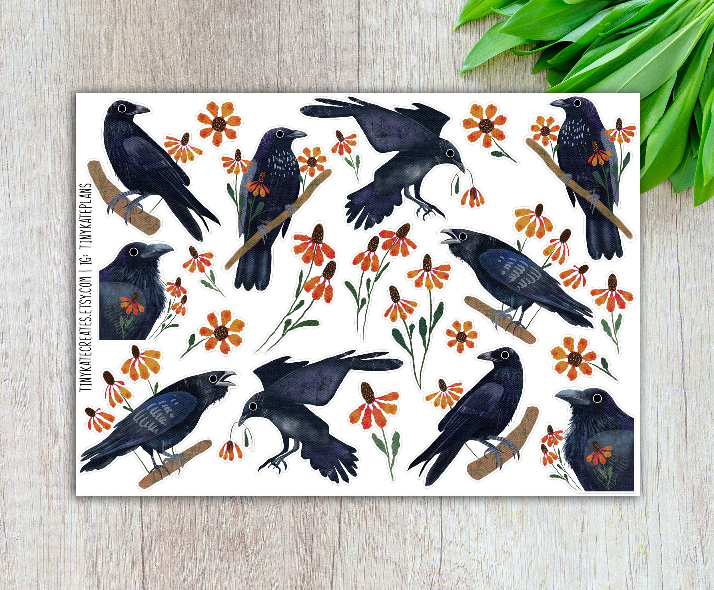 Common Raven Planner Stickers, Silly Bird Planner Stickers, Cute Bird ...