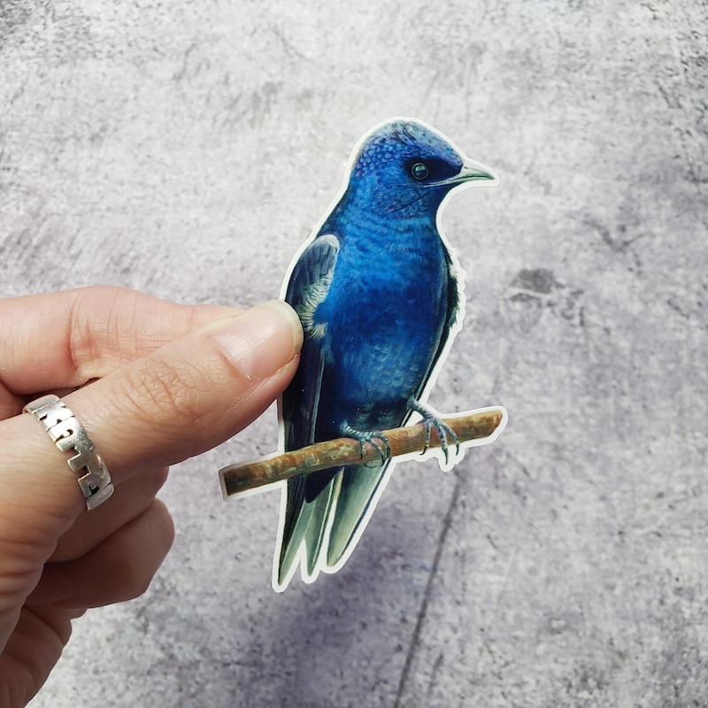 Purple Martin Stickers - Etsy