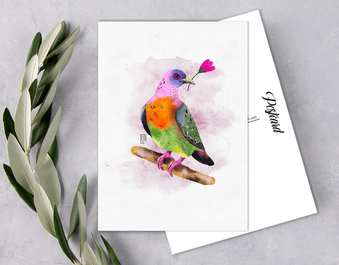 Pink-necked Green Pigeon Postcard, Whimsical Bird Postcards, Cute Pinke ...
