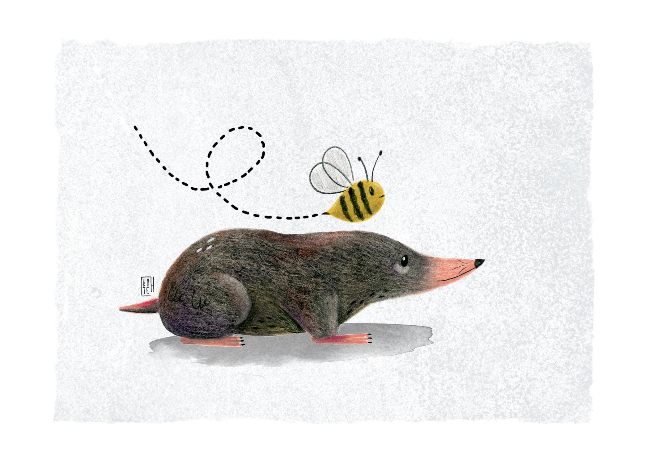 Moles & Bees Postcard Set, Mole Animal Postcard, Cute Forest Animal ...