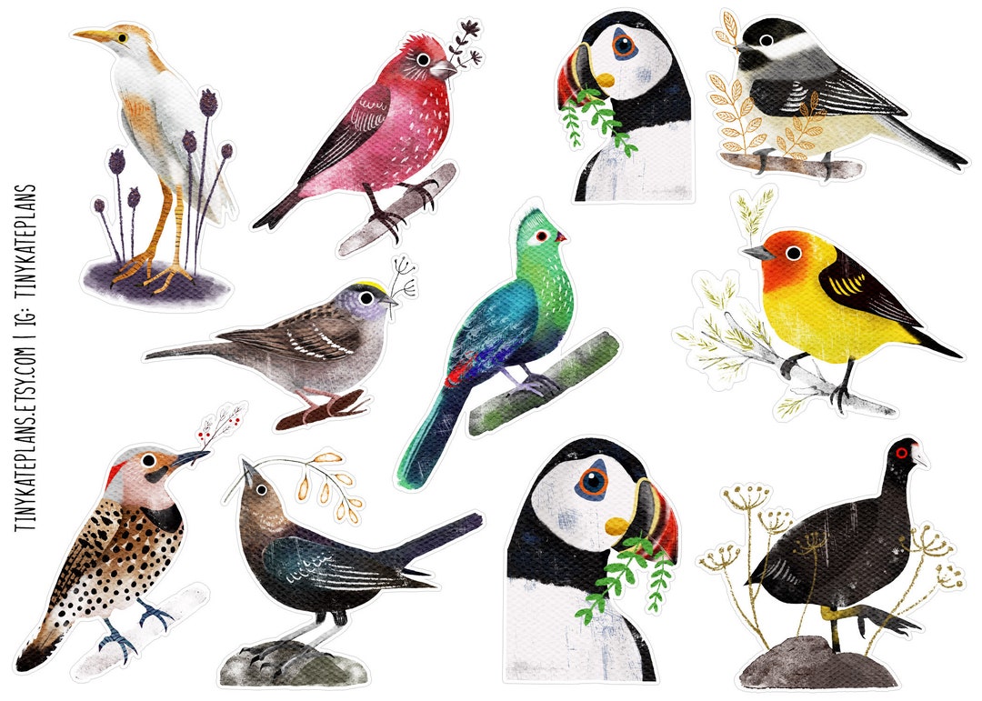 Mix of Bird Planner Stickers, Silly Bird Planner Stickers, Cute Bird ...