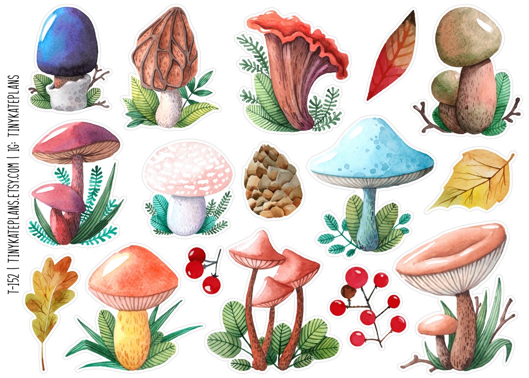 Cute Mushroom Set 2 Planner Stickers, Cozy Fall Planner Stickers, Fall ...
