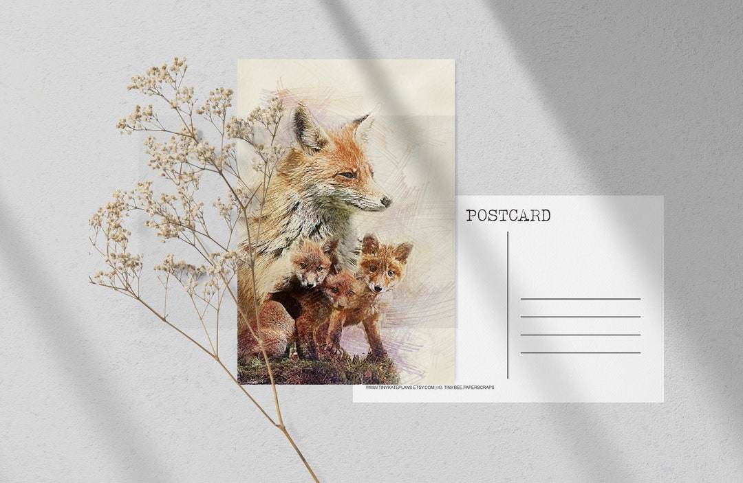 Grudge Fox With Babies Postcard, Cute Animals Postcard Print for ...