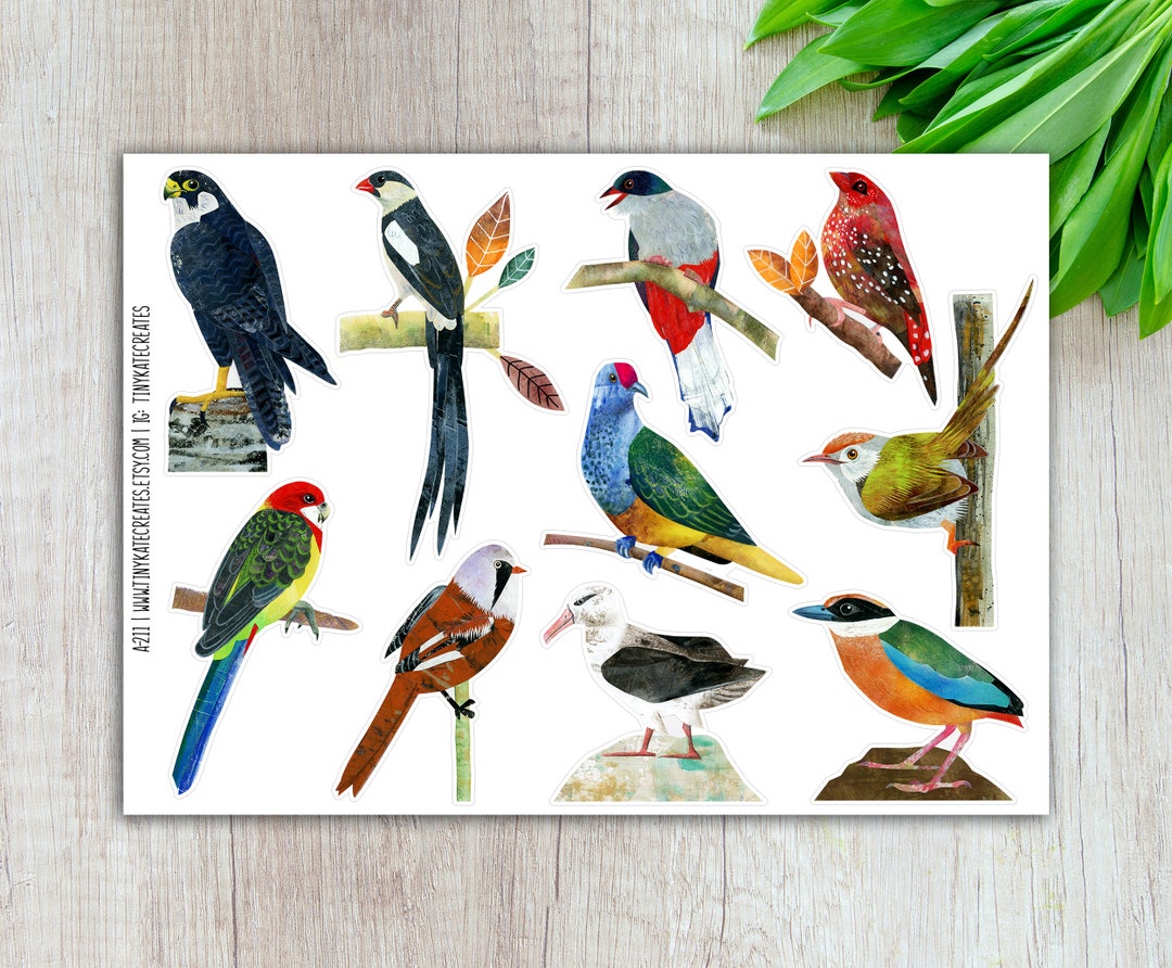 Collage Bird Planner Stickers, Cute Bird Planner Stickers, Cute Bird ...