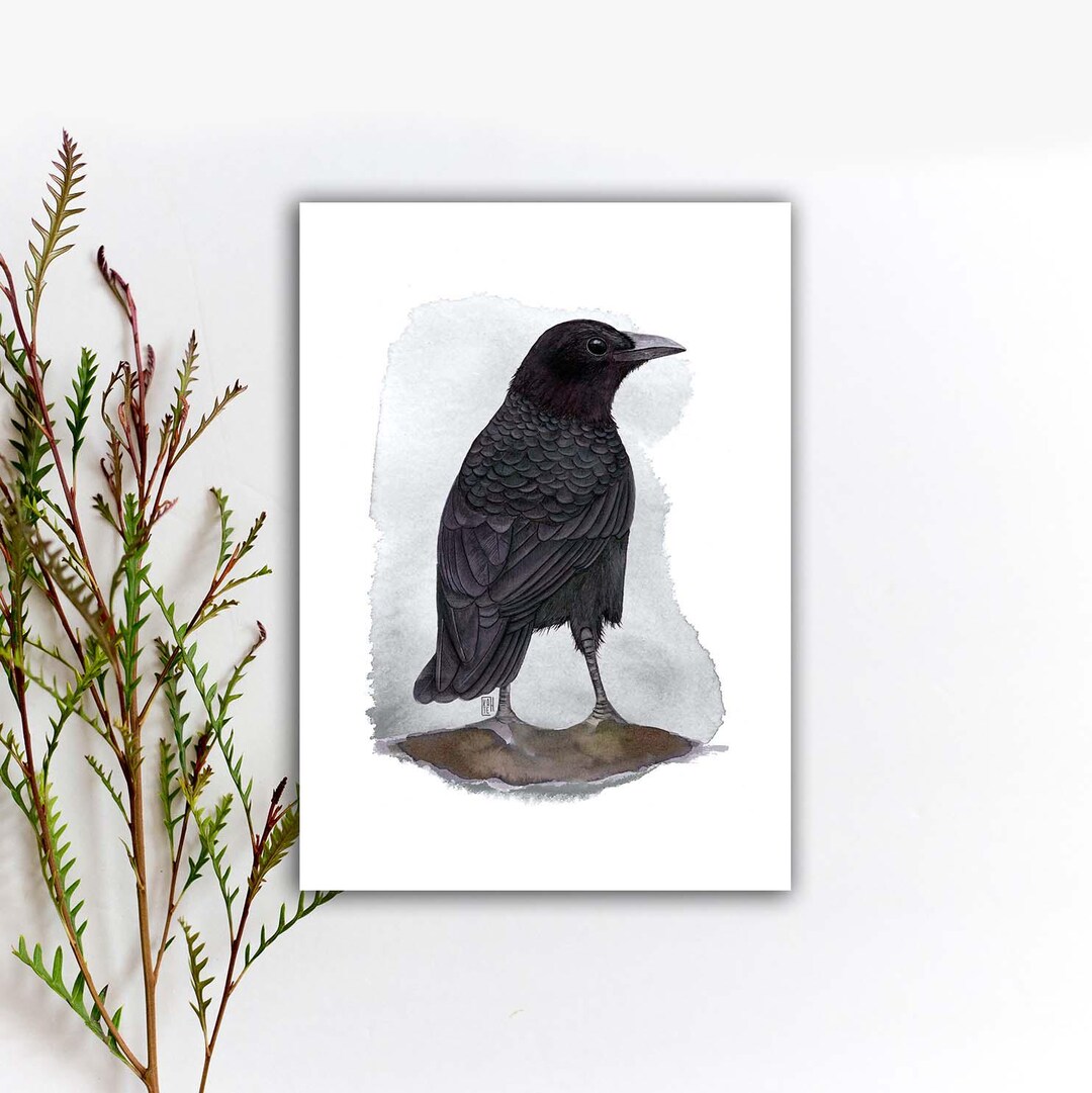 American Crow Postcard, Black Bird Postcards, Halloween Crow Bird ...