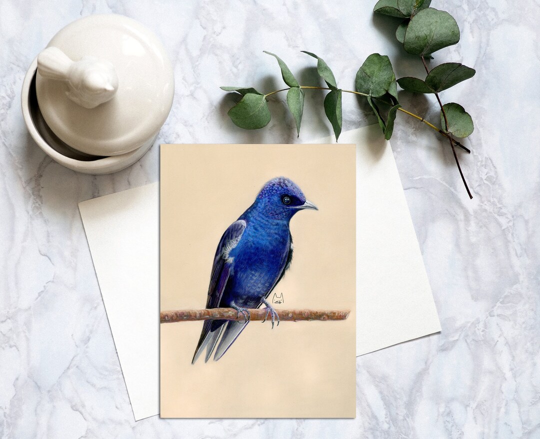 Purple Martin Bird Postcard, Bird Postcards, Realistic Purple Martin ...