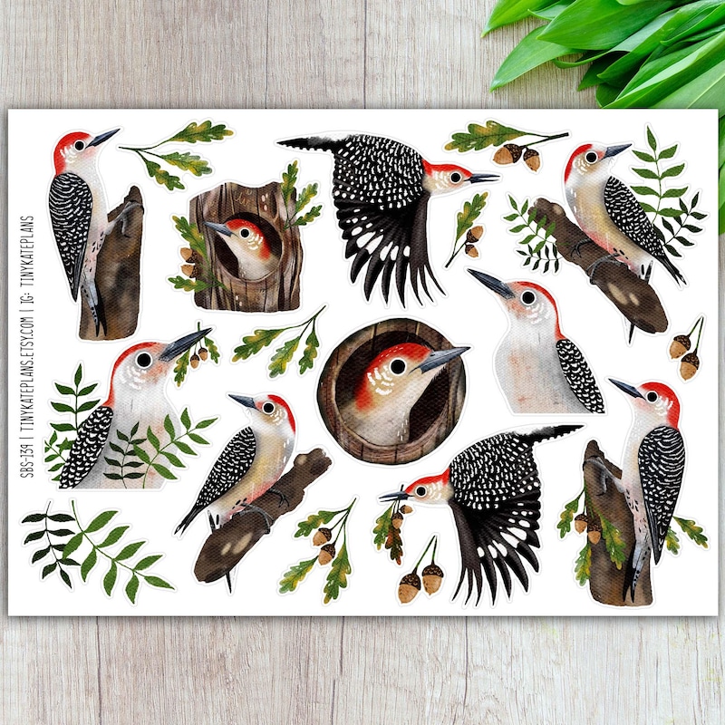 Belly Cat Stickers - Etsy