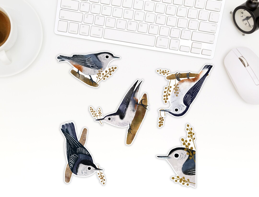 White-breasted Nuthatch Bird Vinyl Stickers, Cute Bird Vinyl Stickers ...