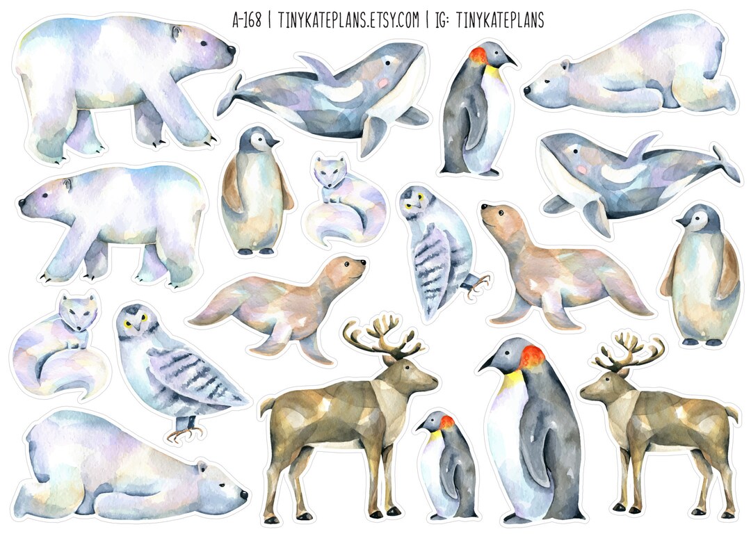 Watercolor Arctic Animal Planner Stickers, Cute Animal Stickers, Animal ...