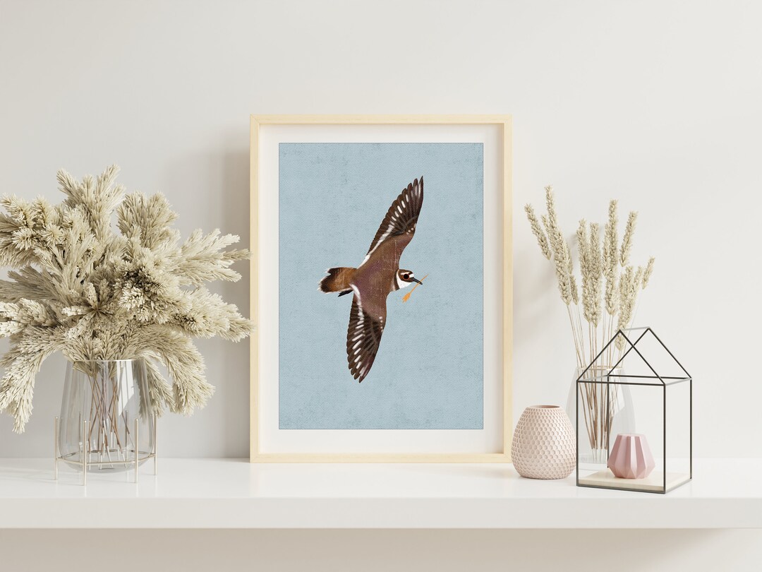 Killdeer Bird Art Print, Cute Brown Bird Art Print, Colorful Bird Art ...