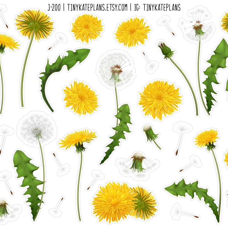 Dandelion Stickers - Etsy