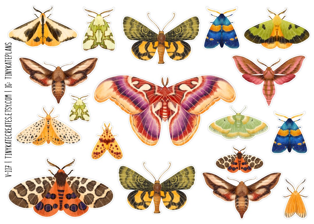 Colorful Moth Stickers, Entomology Butterfly Insects Junk Journal ...