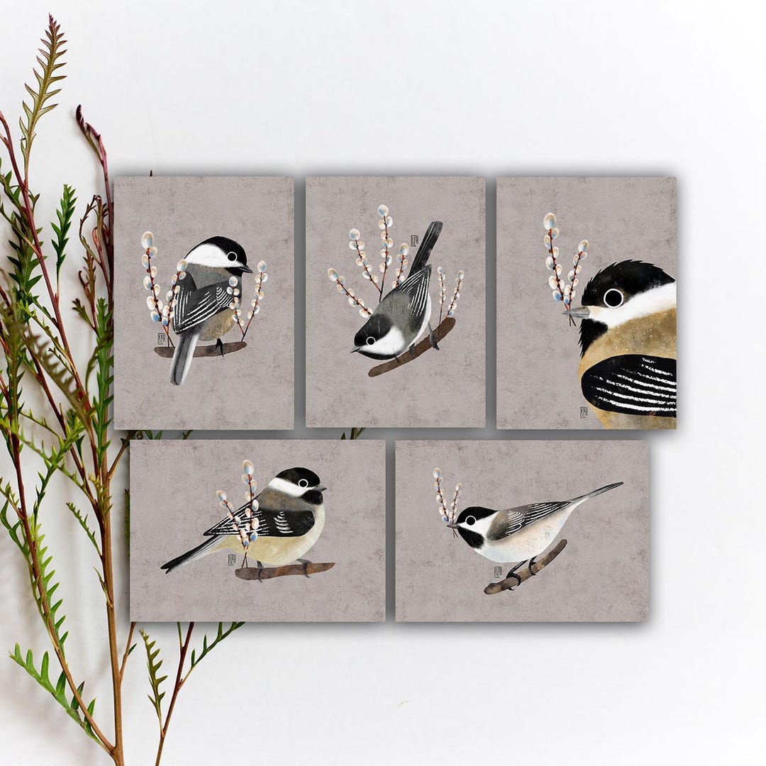 Black-capped Chickadee Bird Postcard Set, Bird Penpal Postcard ...