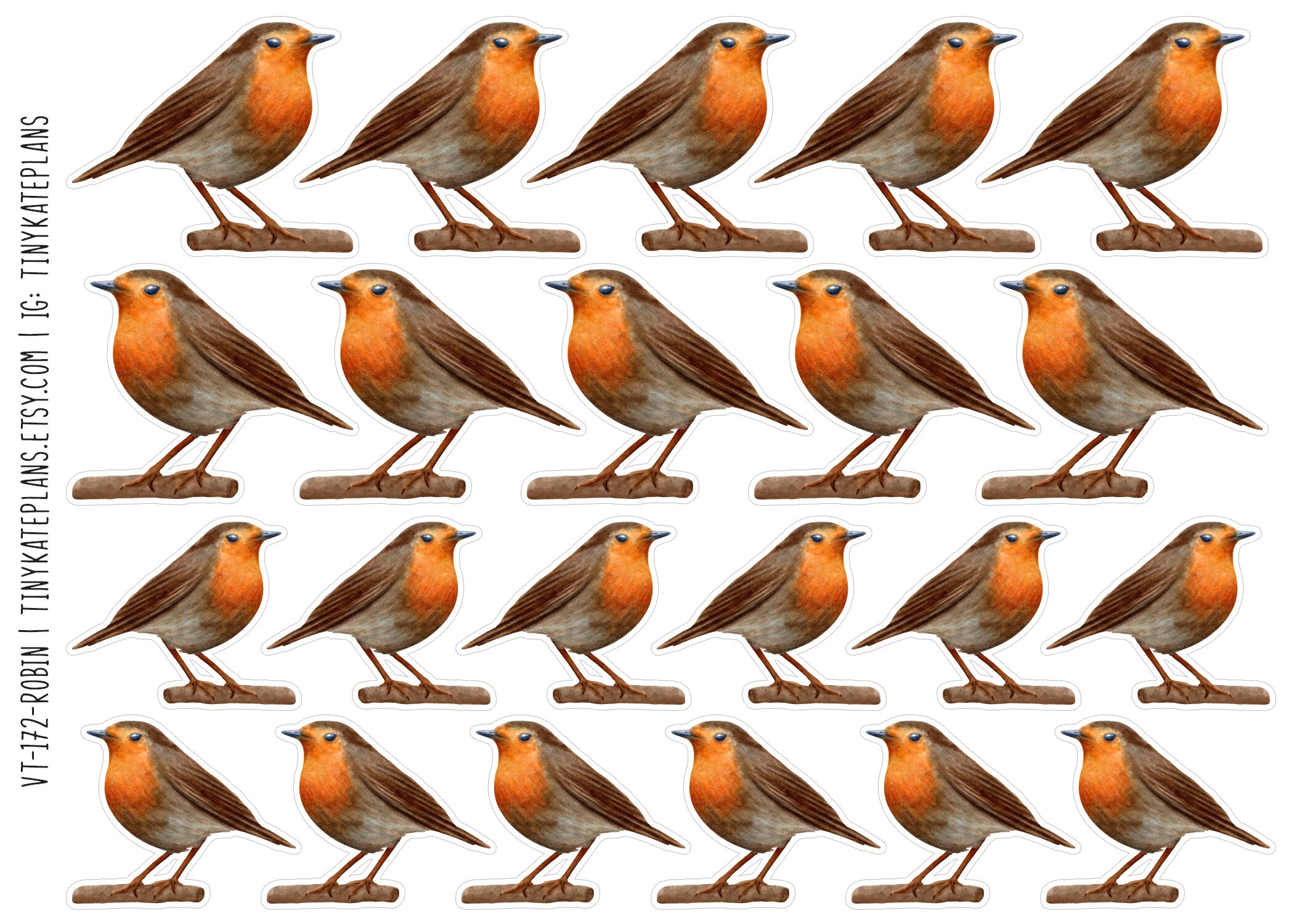 Washi Tape 24 Sheets Watercolor Stickers - Birds & Flowers Scrapbook ...