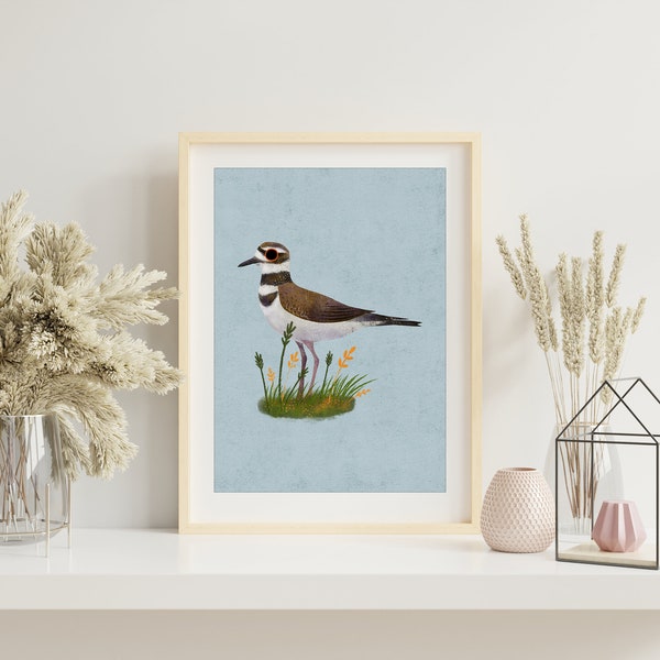 Watercolor Killdeer - Etsy