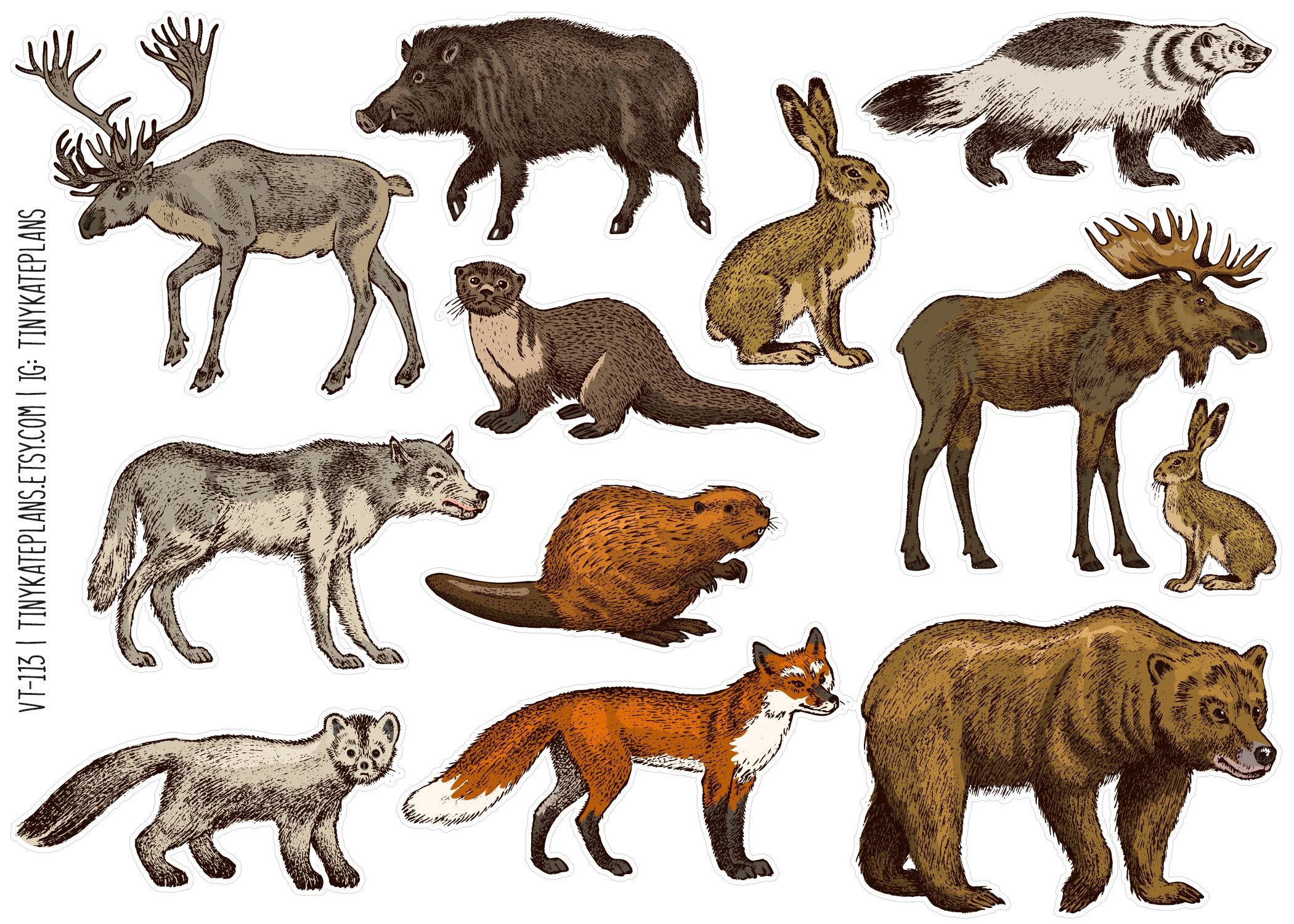 Vintage Inspired Forest Animals Planner Stickers Tiny Animal - Etsy