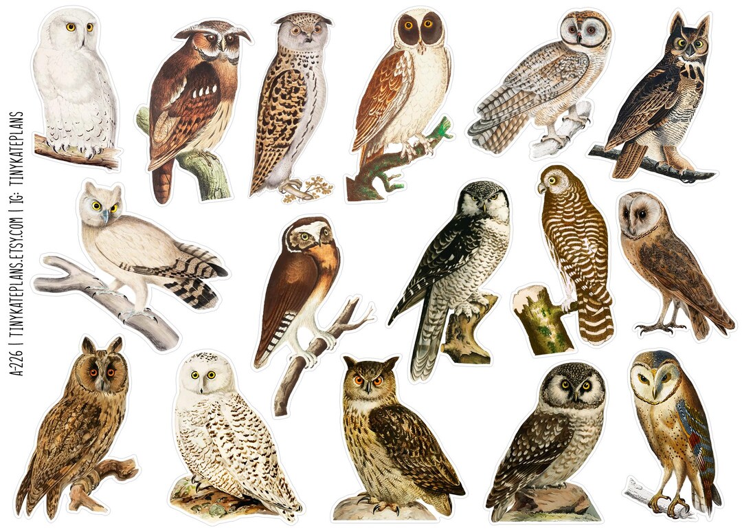 Vintage Owl Planner Stickers, Bird Planner Stickers, Brown Bird ...