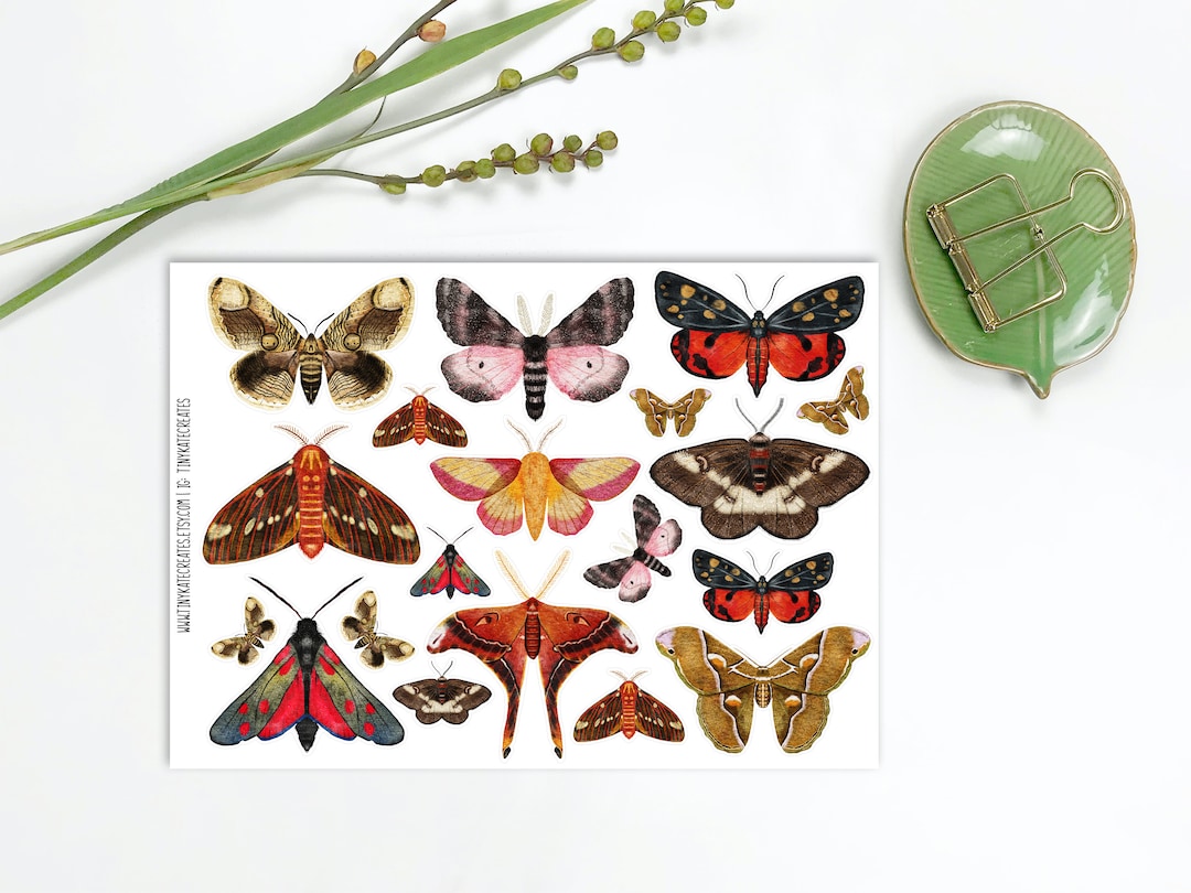 Moth Sticker Set 3, Entomology Butterfly Insects Junk Journal Stickers ...