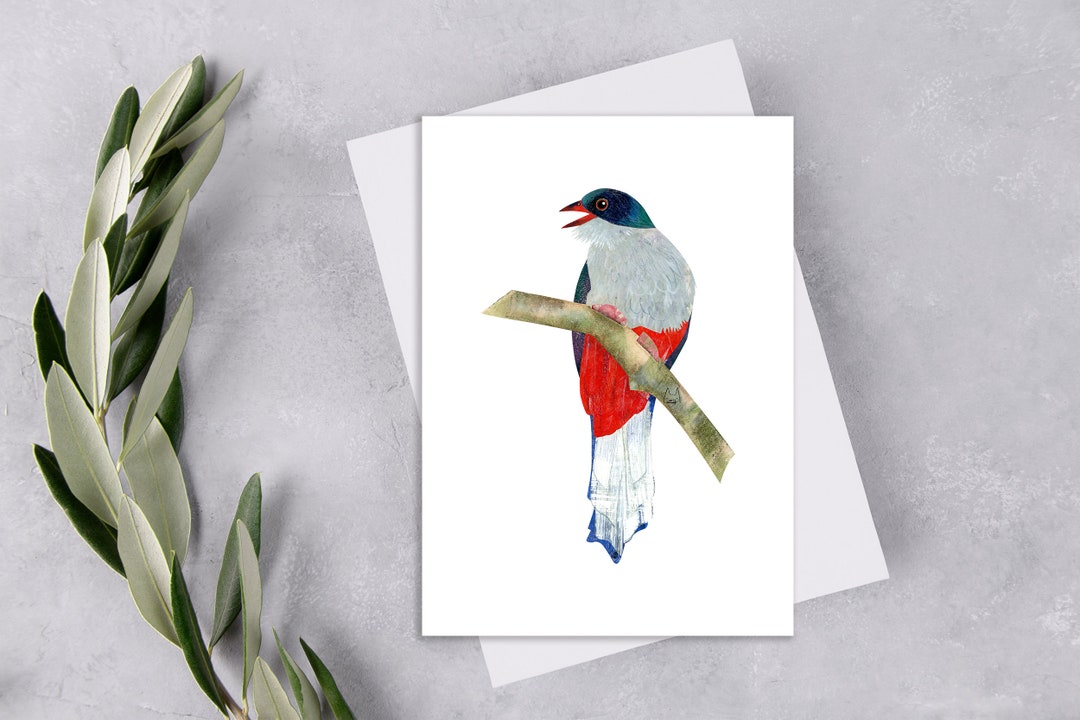 Cuban Trogon Postcard, Trogon Bird Paper Collage Postcard, Colorful Blue & Red Bird Card, Cute ...