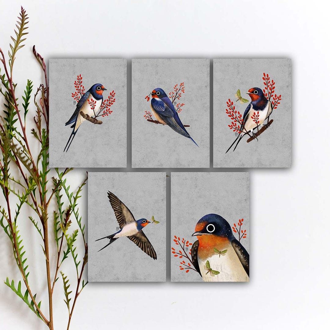 Barn Swallow Postcard Set, Colorful Orange Bird Postcards, Penpal ...