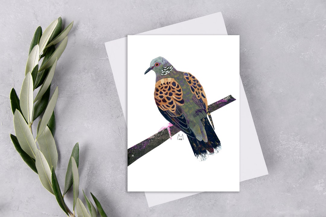 Turtle Dove Paper Collage Postcard Print, Turtle Dove Bird Penpal ...