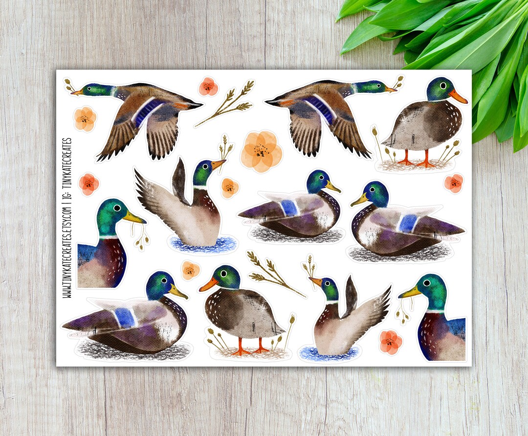 Mallard Duck Planner Stickers, Silly Bird Planner Stickers, Cute Bird ...