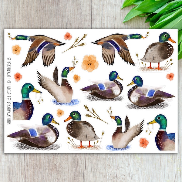 Duck Print Sheet Set - Etsy