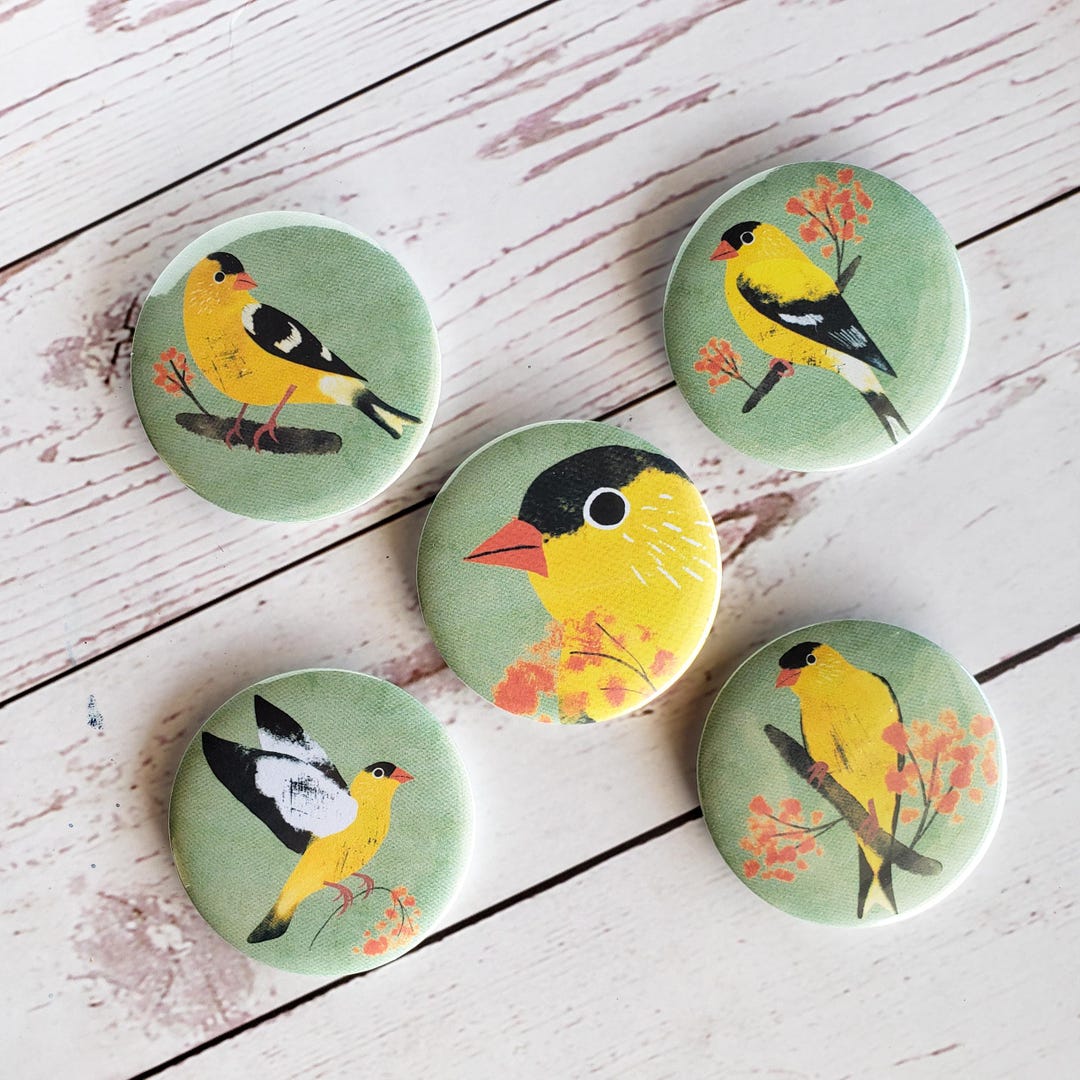 2.25 Inch American Goldfinch Button Pins, Colorful Yellow Bird Button ...